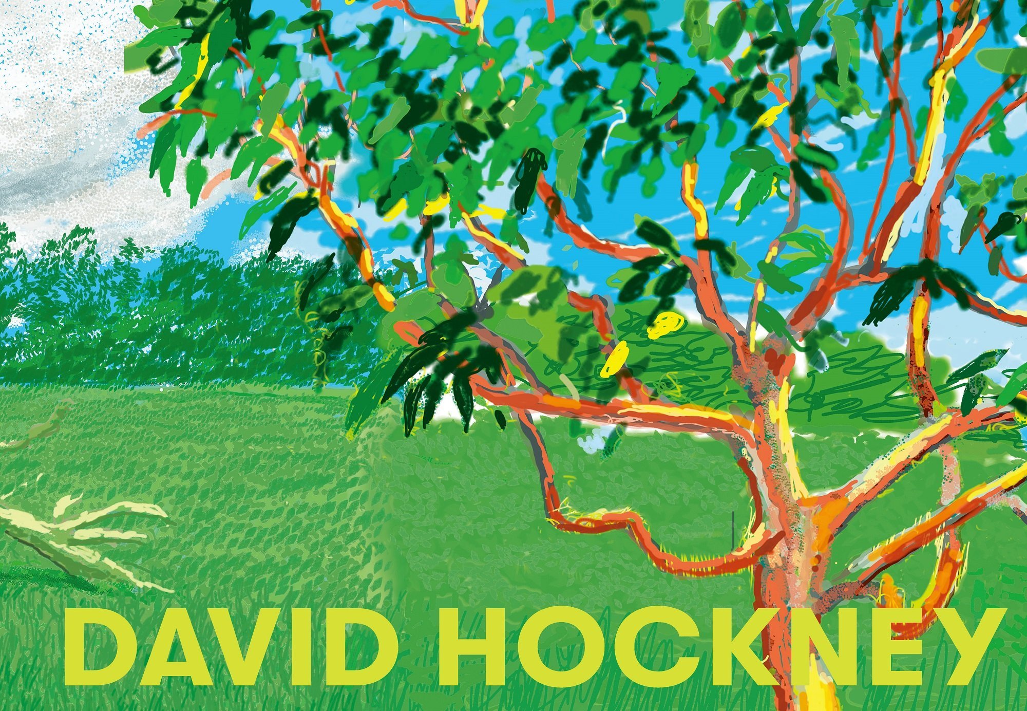 DAVID HOCKNEY | Exhibitions | MUSEUM OF CONTEMPORARY ART TOKYO